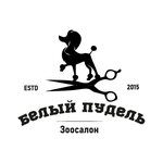 White poodle (Novokryukovskaya Street No:1824), evcil hayvan kuaförleri  Zelenograd'dan