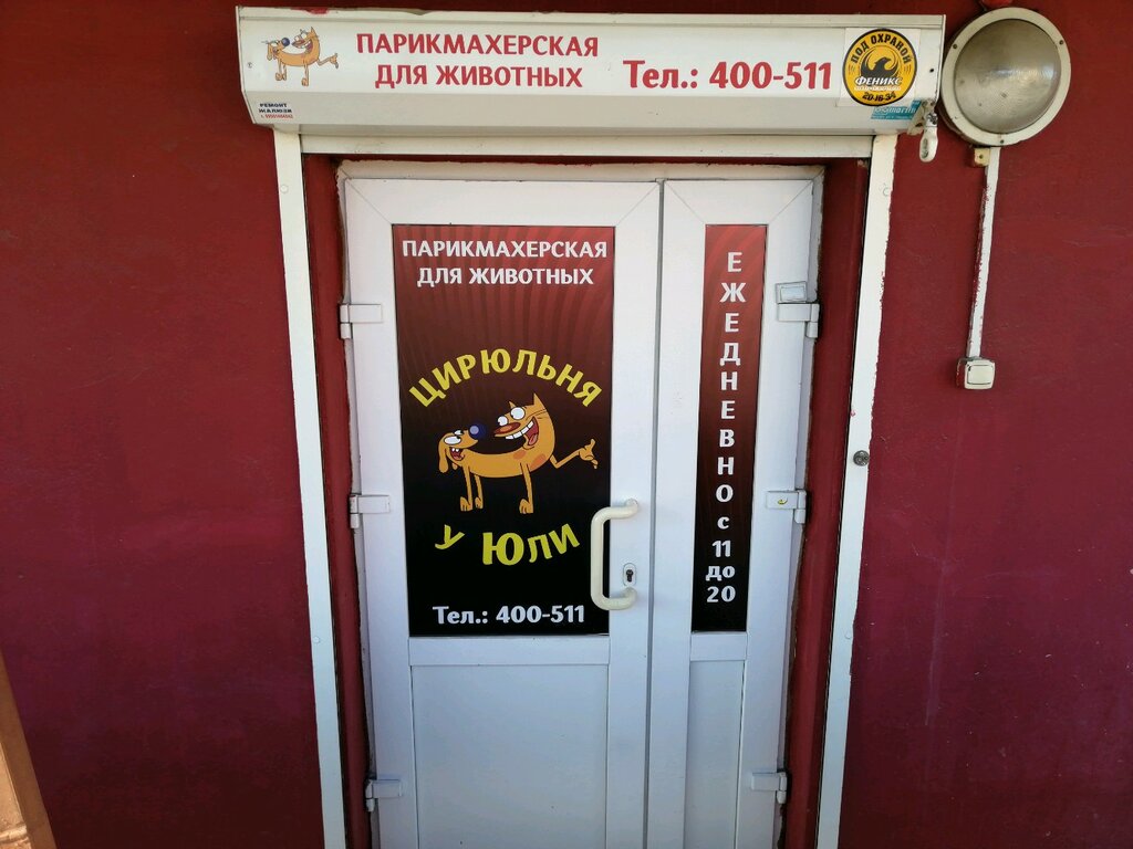 Evcil hayvan kuaförleri Tsiryulnya u Yuli, Irkutsk, foto