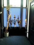 Yogastudio Ilone vd Toolen (Stephensonstraat No:78), yoga stüdyosu  Lahey'den