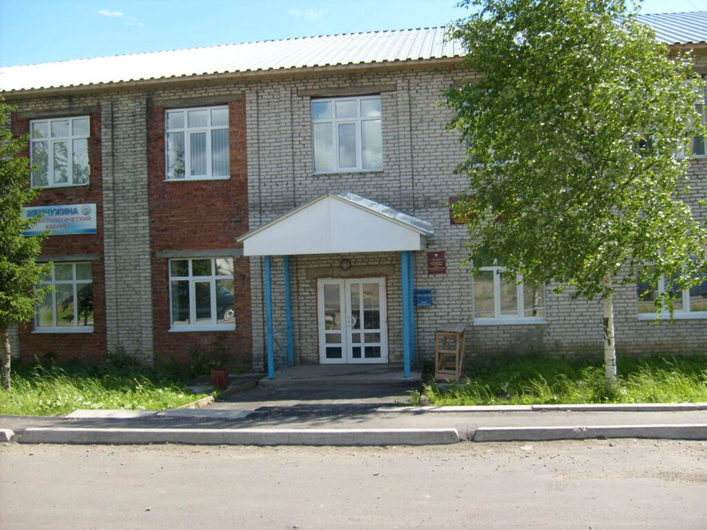 Kütüphaneler Mbuk Troitsko-Pechorskaya mezhposelencheskaya tsentralnaya biblioteka, Komi, foto