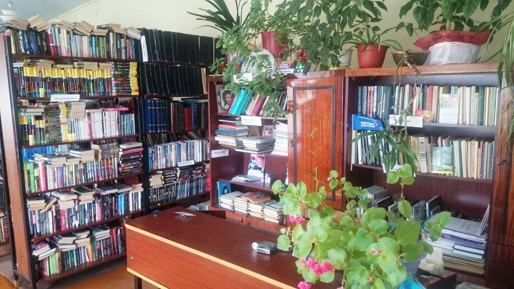 Kütüphaneler Гостиловская библиотека, Yaroslavskaya oblastı, foto