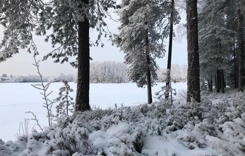 Konuk evi Comfort Lodge, Suoyarvi, foto