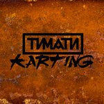 Timati Karting (1st Pokrovskiy Drive No:1), karting  Kotelniki'den