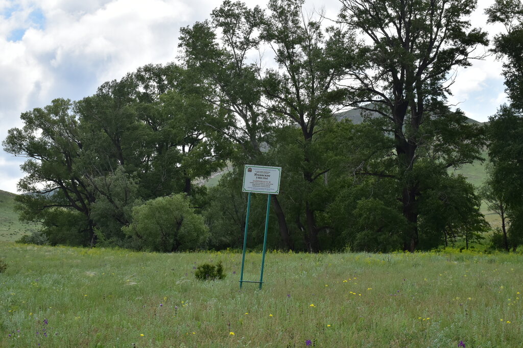 Doğa Яманское ущелье, Orenburgskaya oblastı, foto