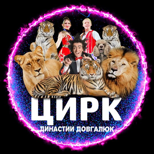 Sirkler Цирк Династии Довгалюк, Volgograd, foto