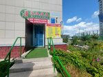 Adal Et (Jumeken Nájimedenov kóshesi No:10/1), kasap, şarküteri  Astana'dan