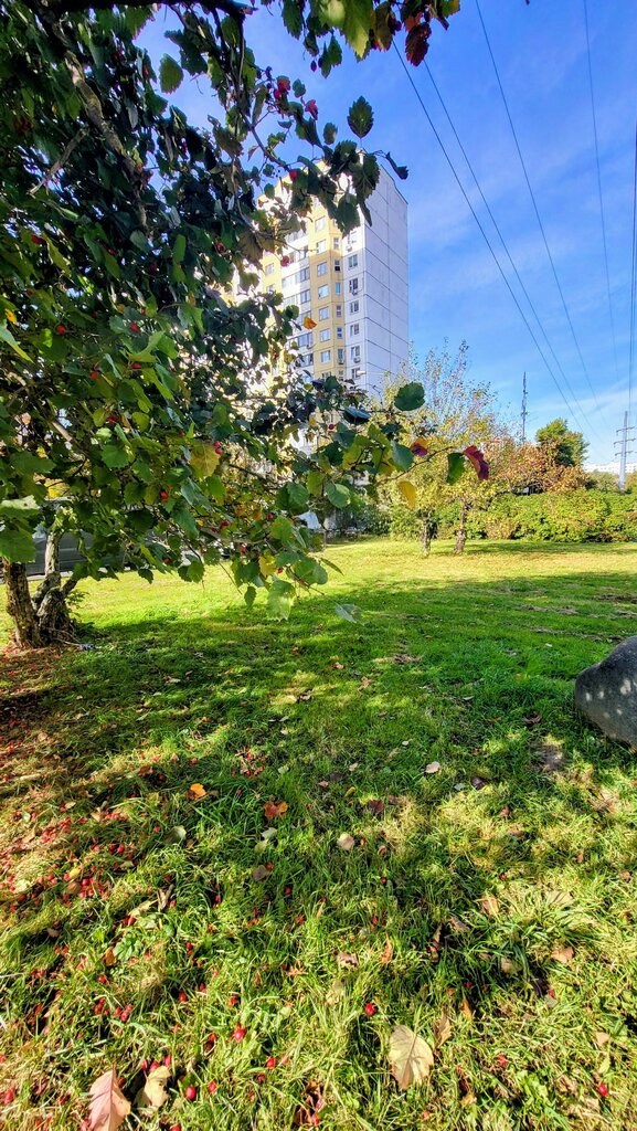 Meydan Kastanayevsky Public Garden, Moskova, foto