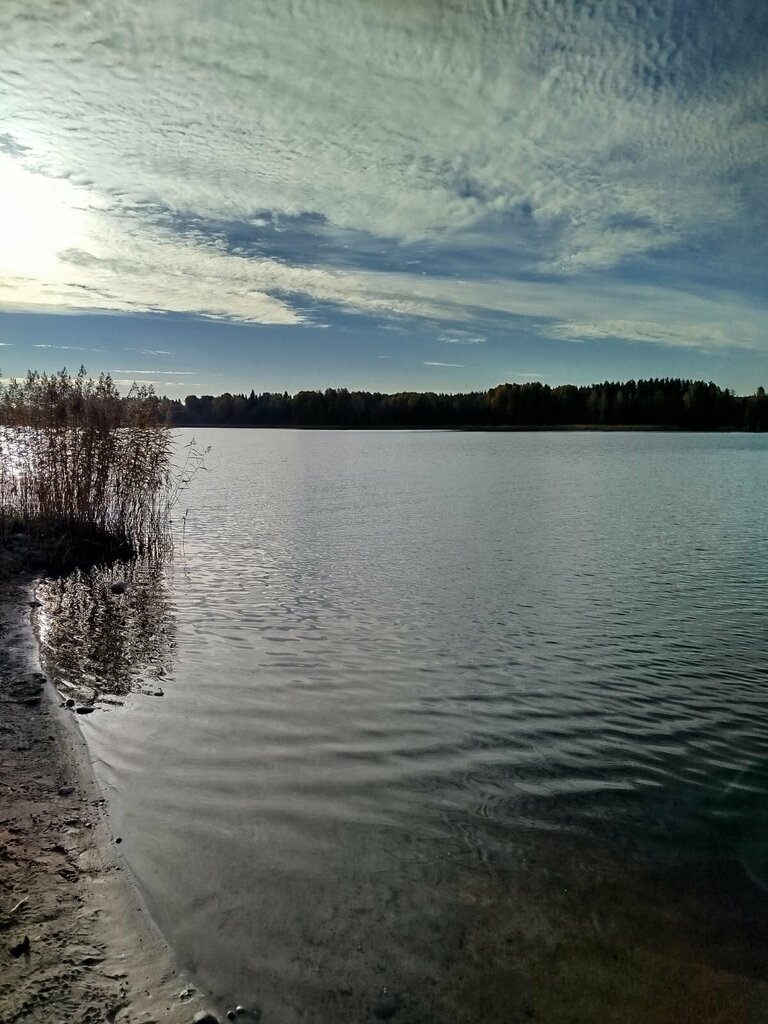 Plaj Пляж, Saint‑Petersburg ve Leningradskaya oblastı, foto