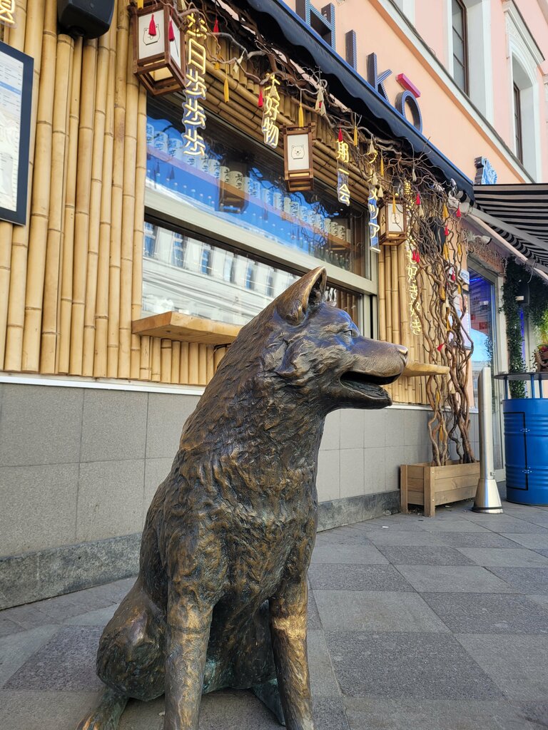 Anıt, heykel Хатико, Moskova, foto