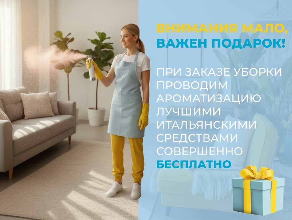 Temizlik şirketleri Clean Space, Saint‑Petersburg, foto