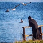 Blago (Bazovaya Street No:8А), sondaj çalışmaları  Kostroma'dan