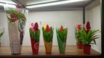 Botanik Çiçek Evi Susurluk Çiçekçi (Balıkesir, Susurluk, Handere Sok., 27A), çiçekçiler  Susurluk'tan