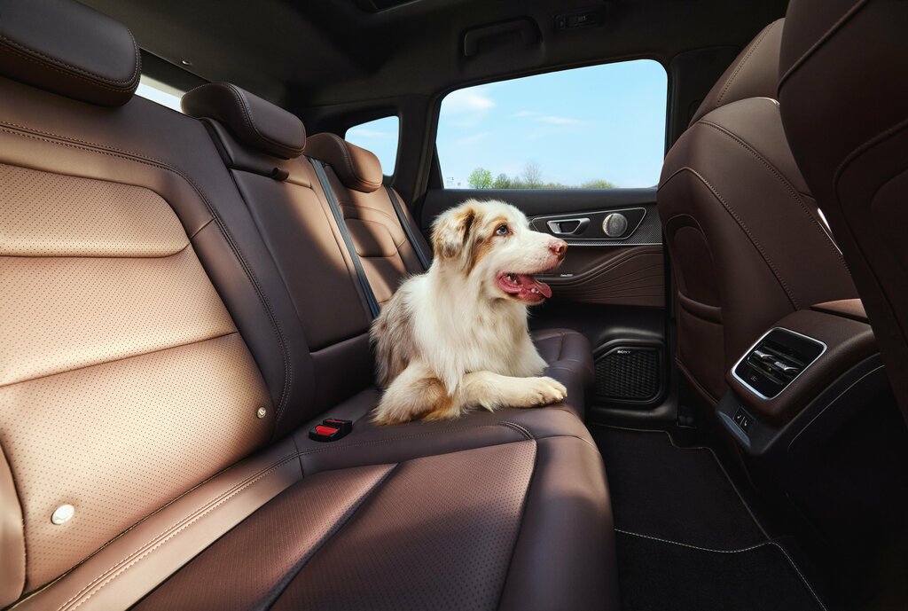 Otomobil satış galerileri Chernomor Auto Tenet, Simferopol (Akmescit), foto