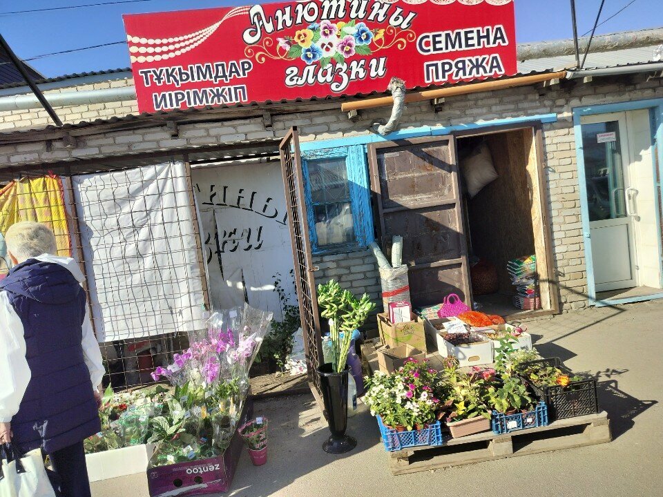 Tohum satan yerler Anyutina Glazki, Kostanay, foto