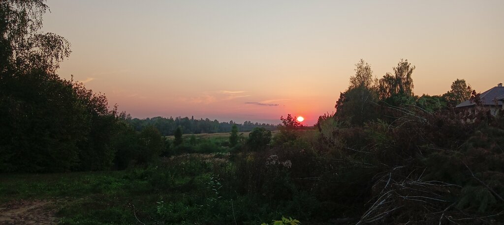 Bahçe Яблоневый сад, Roslavl, foto
