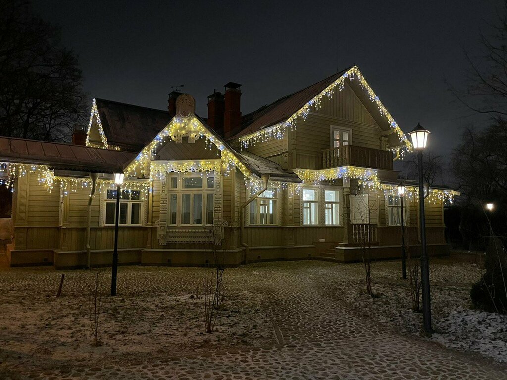 Turistik yerler Дача Е. Н. Шапошниковой, Saint‑Petersburg, foto