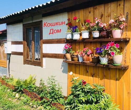 Evcil hayvan yetiştiricileri Of auntie Lily, Minskaya oblastı, foto