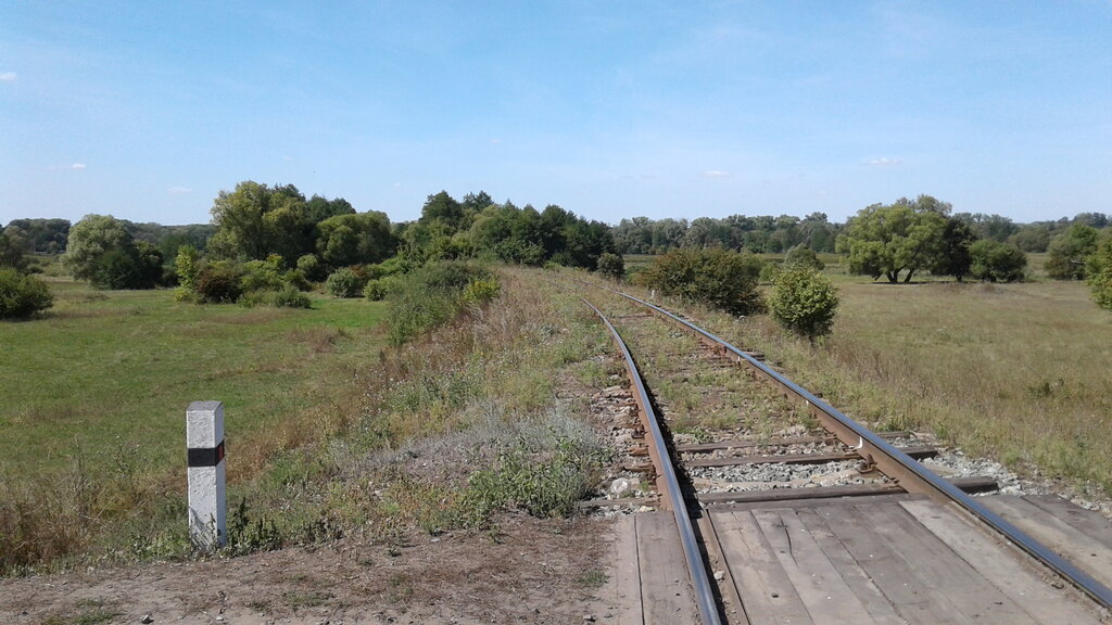 Yük istasyonu Zorino, Kurskaya oblastı, foto