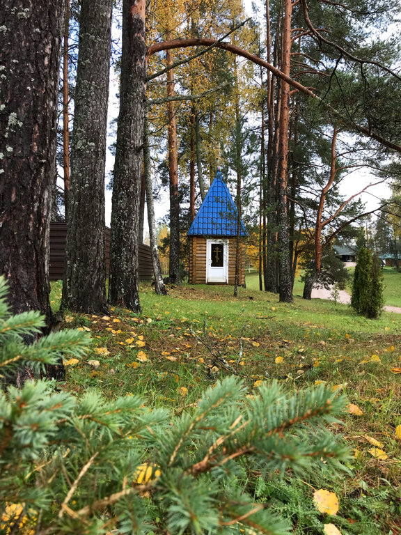 Şapel, haç anıtı Часовня святого Николая, Pskovskaya oblastı, foto