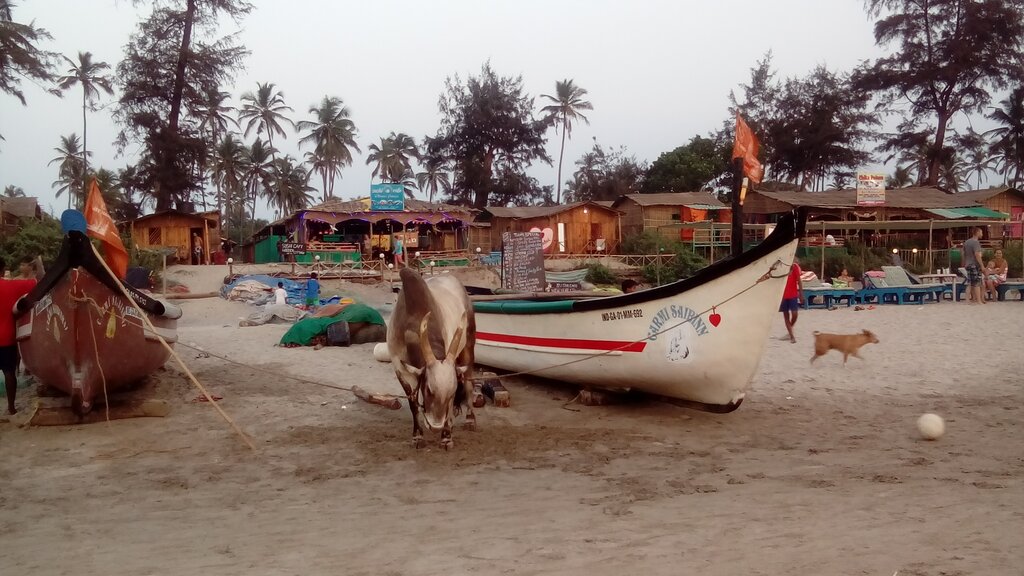 Restoran Sunjay Beach Restaurant, Goa, foto