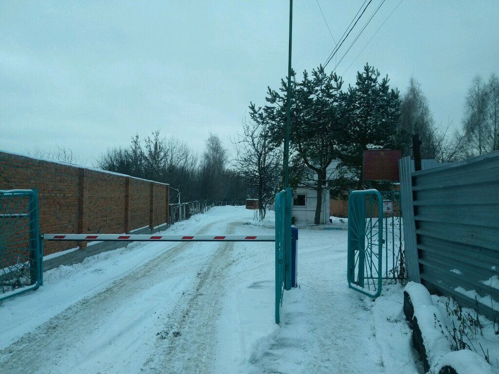 Çocuk bakım evleri ОКУСО Специализированный центр содействия семейному воспитанию Аистёнок, Kursk, foto
