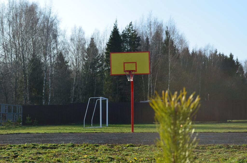 Yazlık yerleşim Бархатово, Moskova ve Moskovskaya oblastı, foto