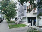 Стадион (No:65, Leninskiy City Administrative District, mikrorayon Gorskiy, Novosibirsk), spor kulüpleri  Novosibirsk'ten
