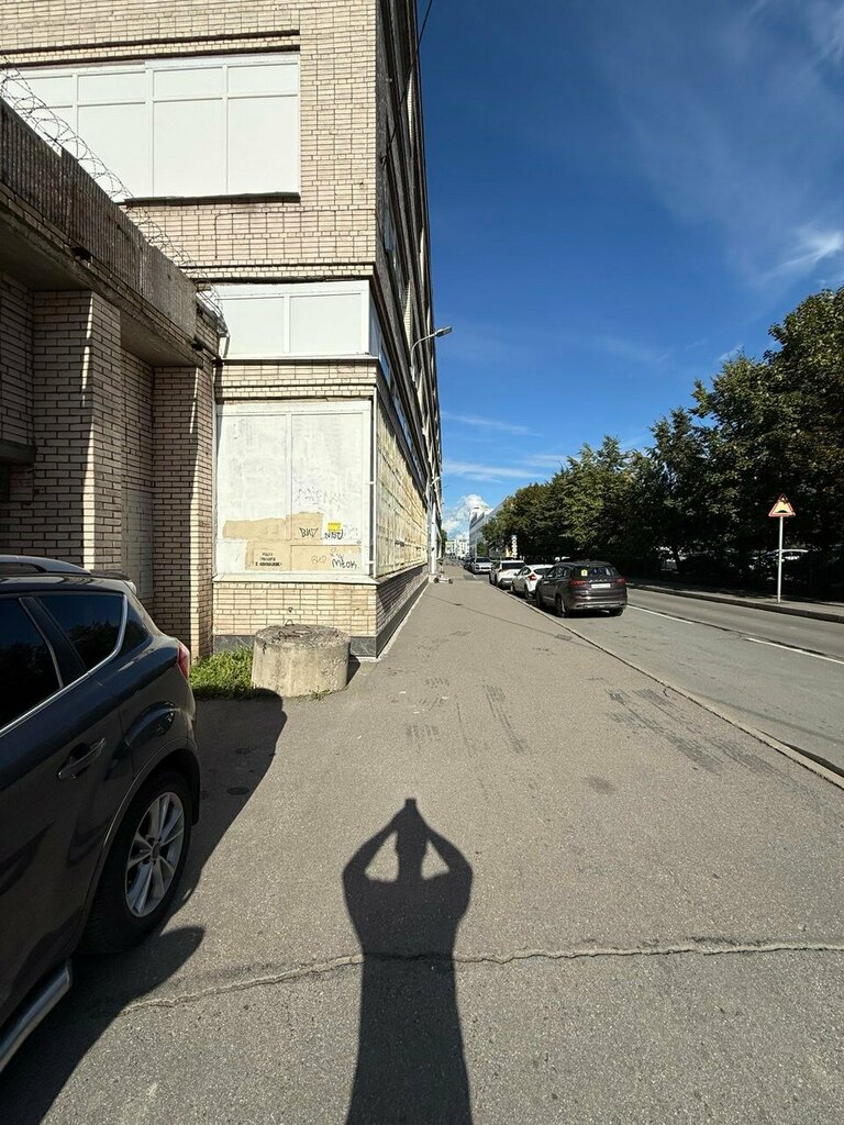 Madde bağımlılığı tedavi merkezi Paracelsus, Saint‑Petersburg, foto