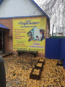 Теремок (Samara Region, Kinelskiy rayon, selskoye poseleniye Georgiyevka, selo Georgiyevka, Zelyonaya ulitsa), kafe  Samarskaya oblastından