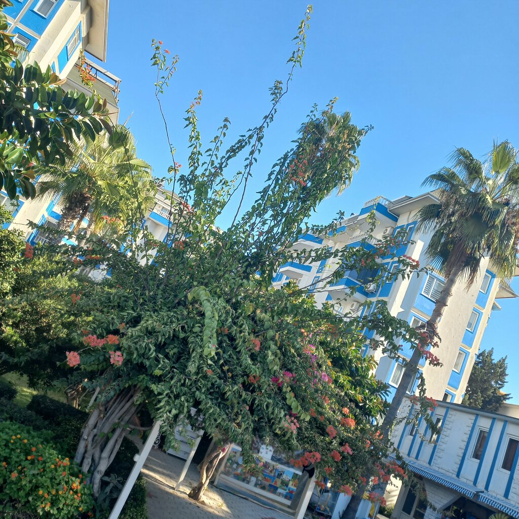 Seyahat acenteleri Слетать.ру, Odintsovo, foto