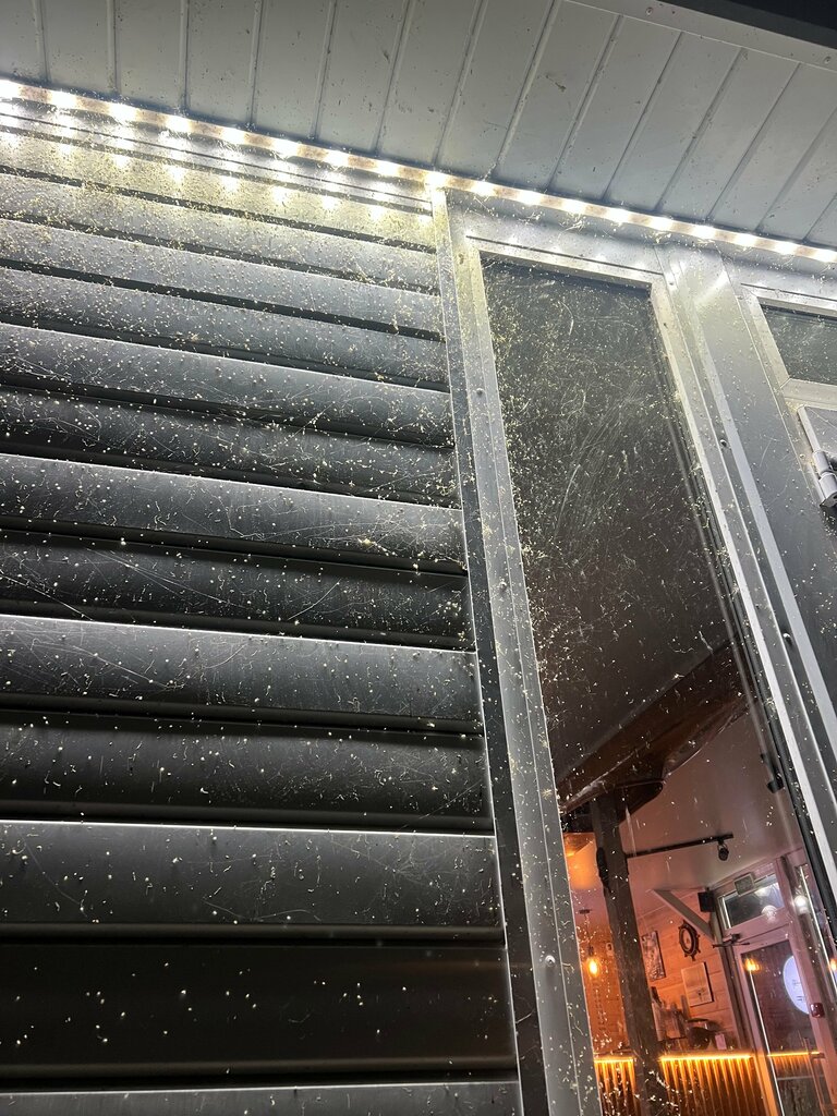 Kafe Zalif, Brest, foto