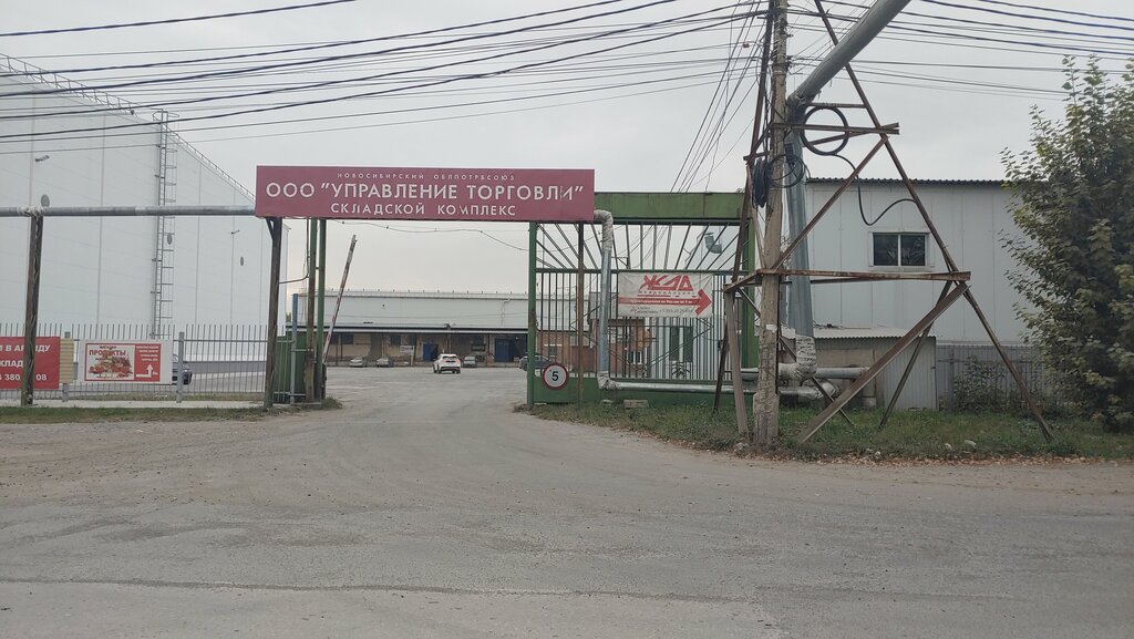 Otomobil yedek parçaları Чусовской металлургический завод, Novosibirsk, foto