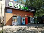 Alibek (Rysqulov dańǵyly No:60А), market  Almatı'dan