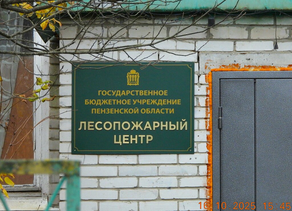 i̇tfaiye ГБУ ПО Лесопожарный центр, Penza, foto