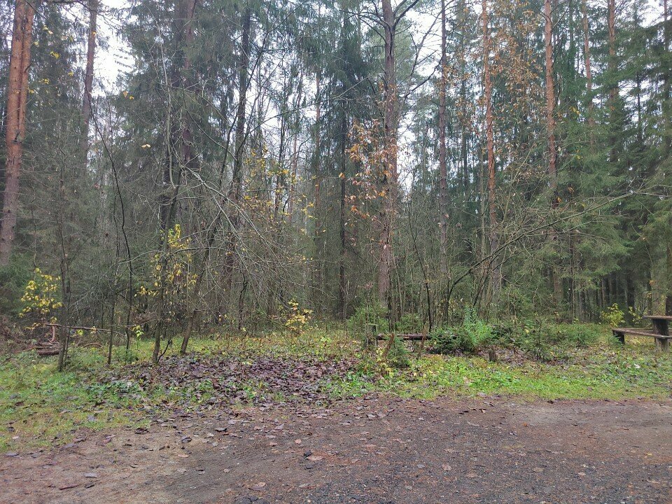 Kültür ve eğlence parkları парковая зона Достоевская, Vsevolgsk, foto