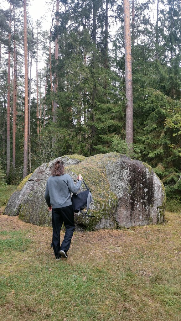 Doğa Валун, Saint‑Petersburg ve Leningradskaya oblastı, foto