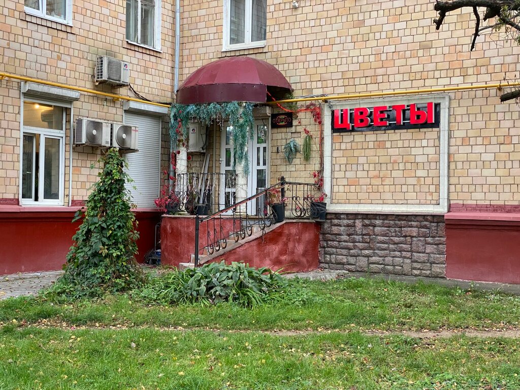 Çiçekçiler Bloom jungle, Moskova, foto