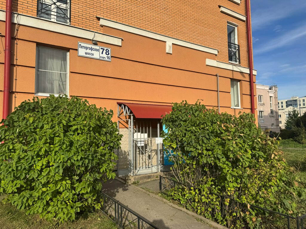 Konuşma terapistleri Три улитки, Saint‑Petersburg, foto