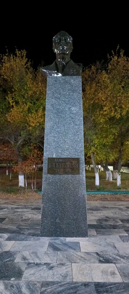 Anıt, heykel Н. Д. Кузнецов, Baykonur, foto