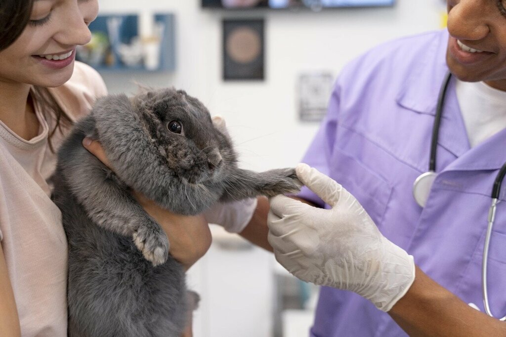 Veteriner klinikleri Белый Бим, Krasnodar, foto