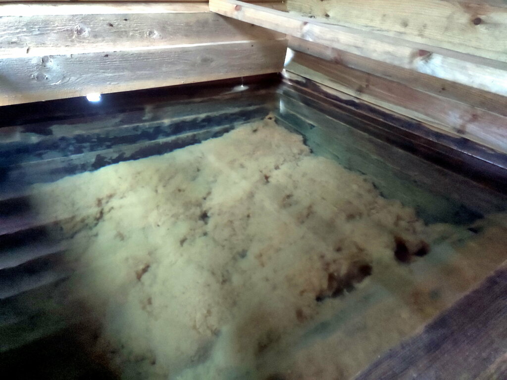 Şapel, haç anıtı Купель источника святого преподобного Макария Желтоводского, Nijegorodskaya oblastı, foto