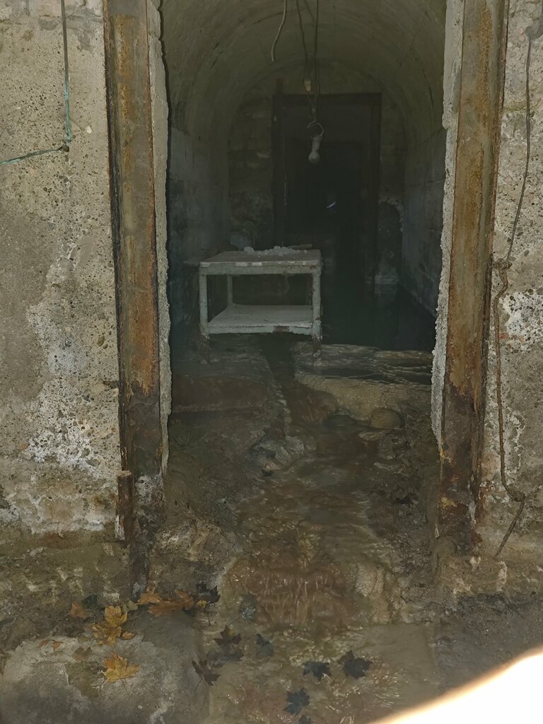 Turistik yerler Портал в штольню источника № 1, Zheleznovodsk, foto