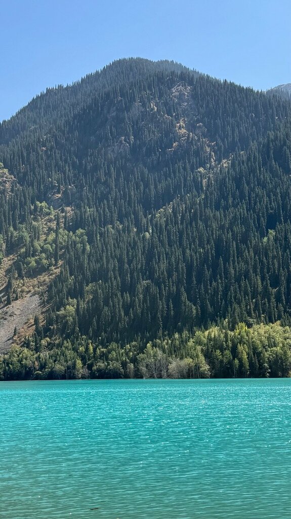 Restoran Alpine Rose, Almatı, foto