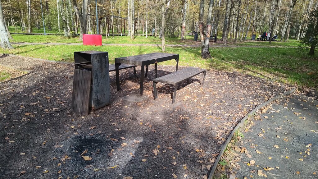 Piknik alanı Место для пикника, Moskova, foto