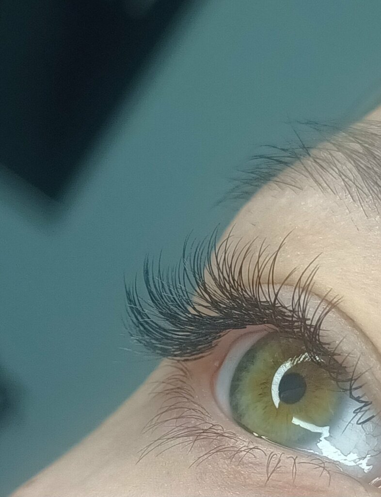 Kaş ve kirpik salonu Lashes Studio by Oksana Klochkova, Tolyatti (Togliatti), foto