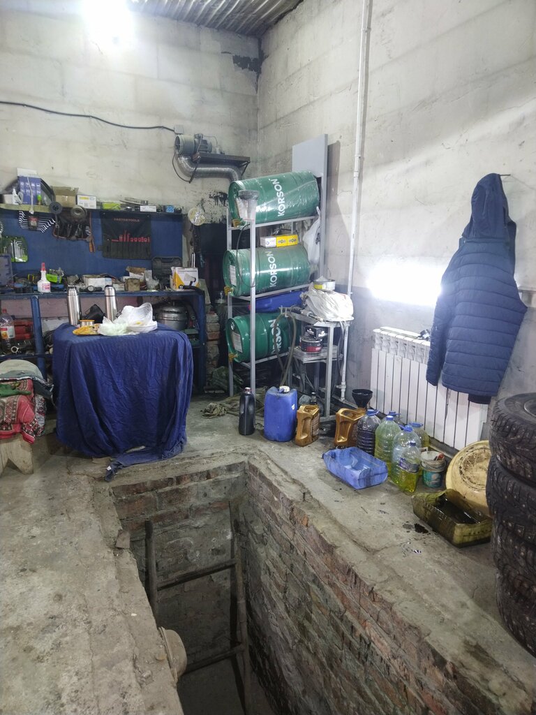 Oto lastik tamiri СТО, Saratovskaya oblastı, foto