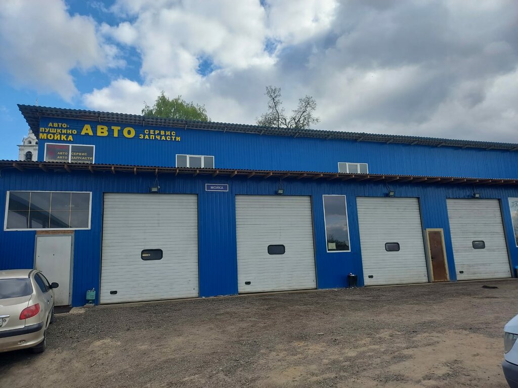 Otomobil yedek parçaları Avtozapchasti Avto-Pushkino, Puşkino, foto