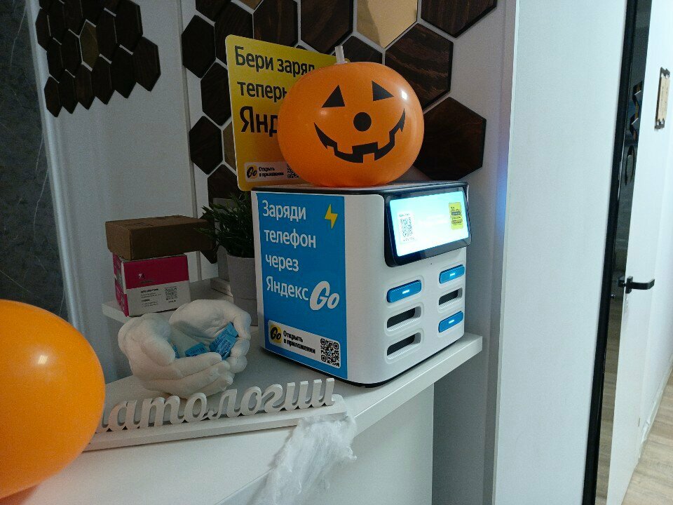 Şarj cihazı kiralama Бери заряд, Saint‑Petersburg, foto