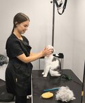 Grooming studio (Beregovaya ulitsa No:1к9, aul Novaya Adygeya), evcil hayvan kuaförleri  Adıge Cumhuriyeti'nden