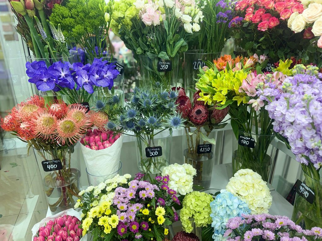 Çiçekçiler KolinFlowers 24, Murino, foto